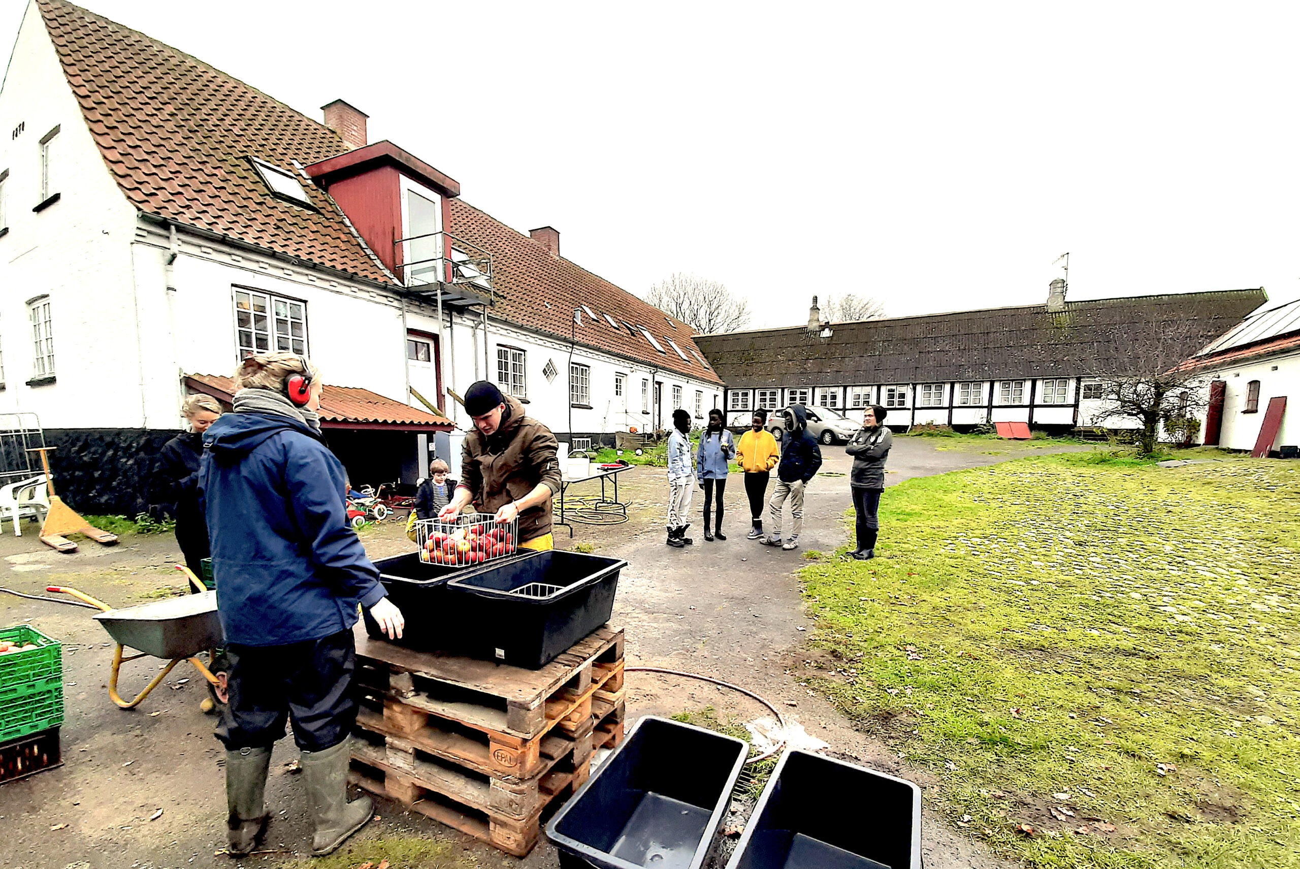 MARIA LIPPA – Kollektivet TRANEHØJ