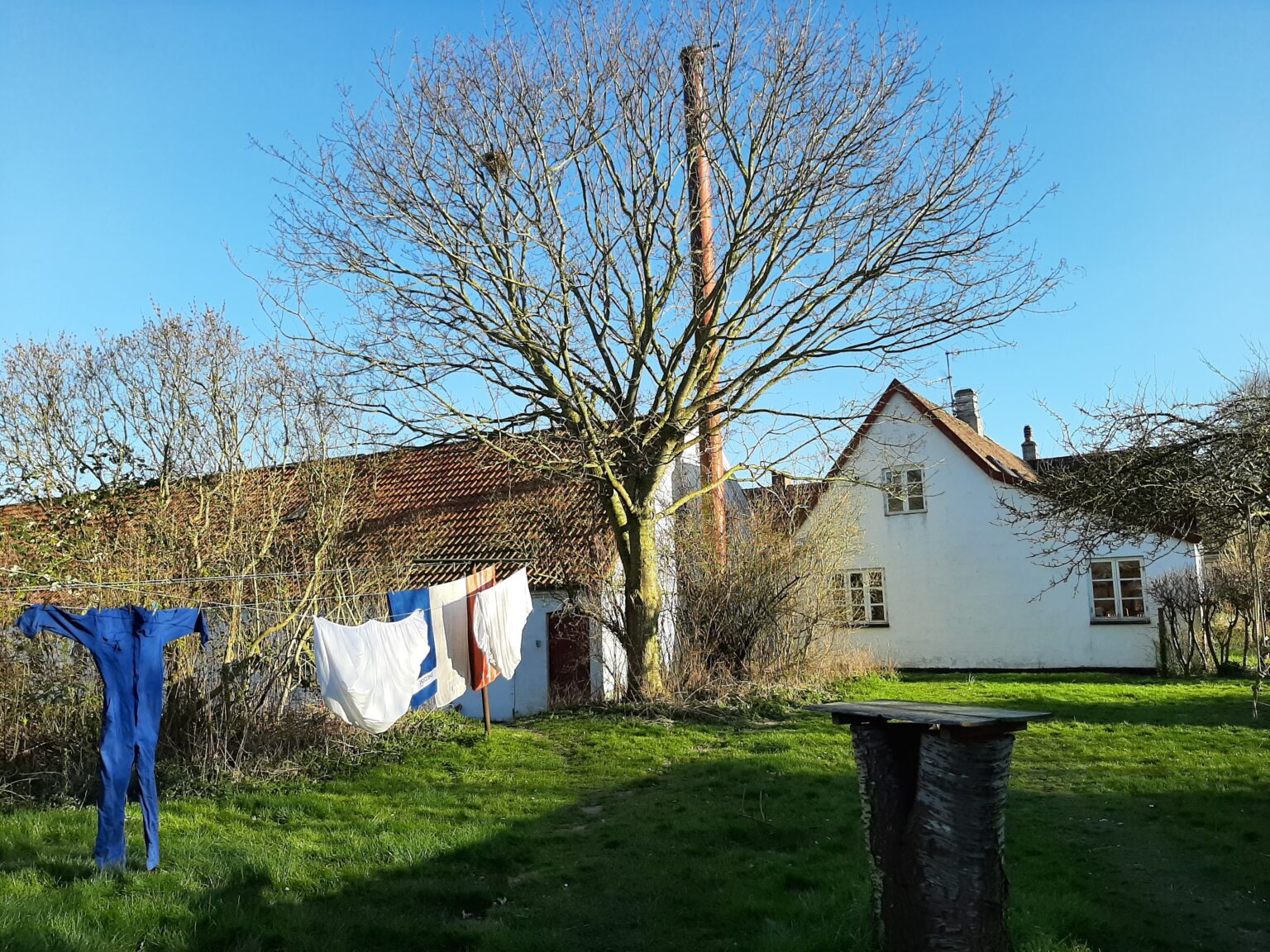MARIA LIPPA – Kollektivet TRANEHØJ