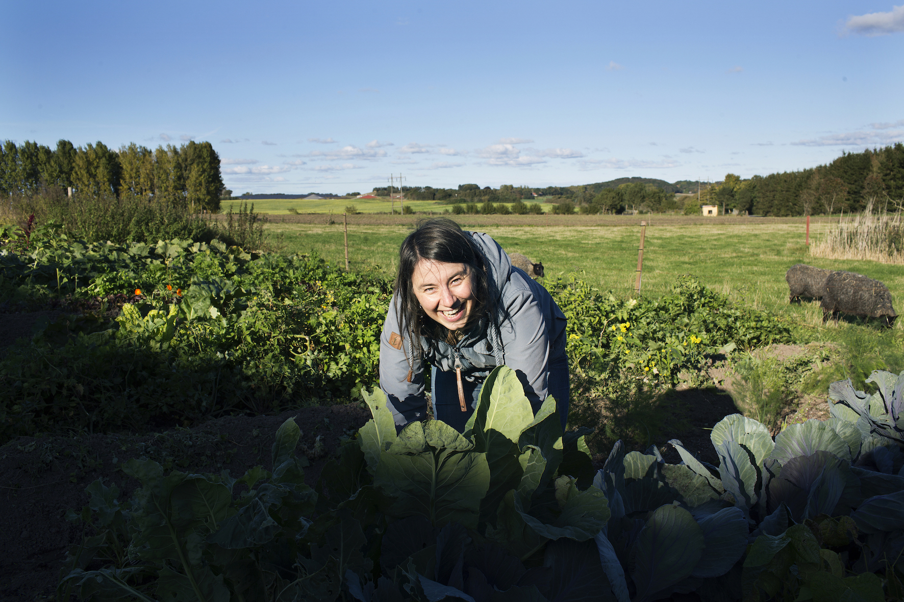 MARIA LIPPA – Kollektivet TRANEHØJ